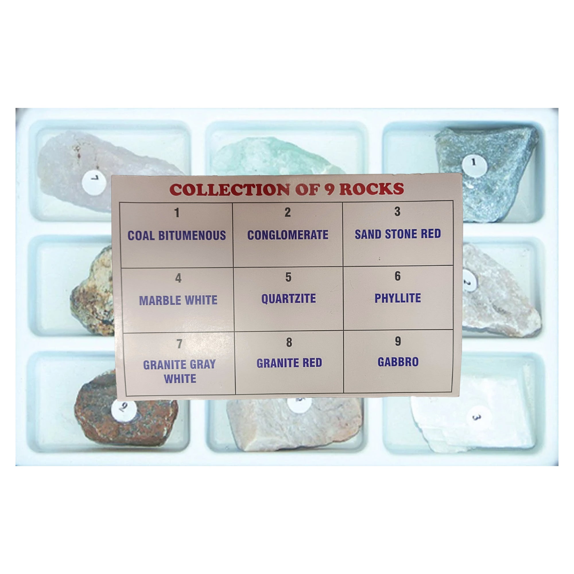 Collection of 9 Mineral Rocks – Vision International Medical ...