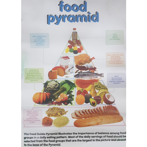 Food Pyramid Poster – Vision International Medical & Scientific Supplies