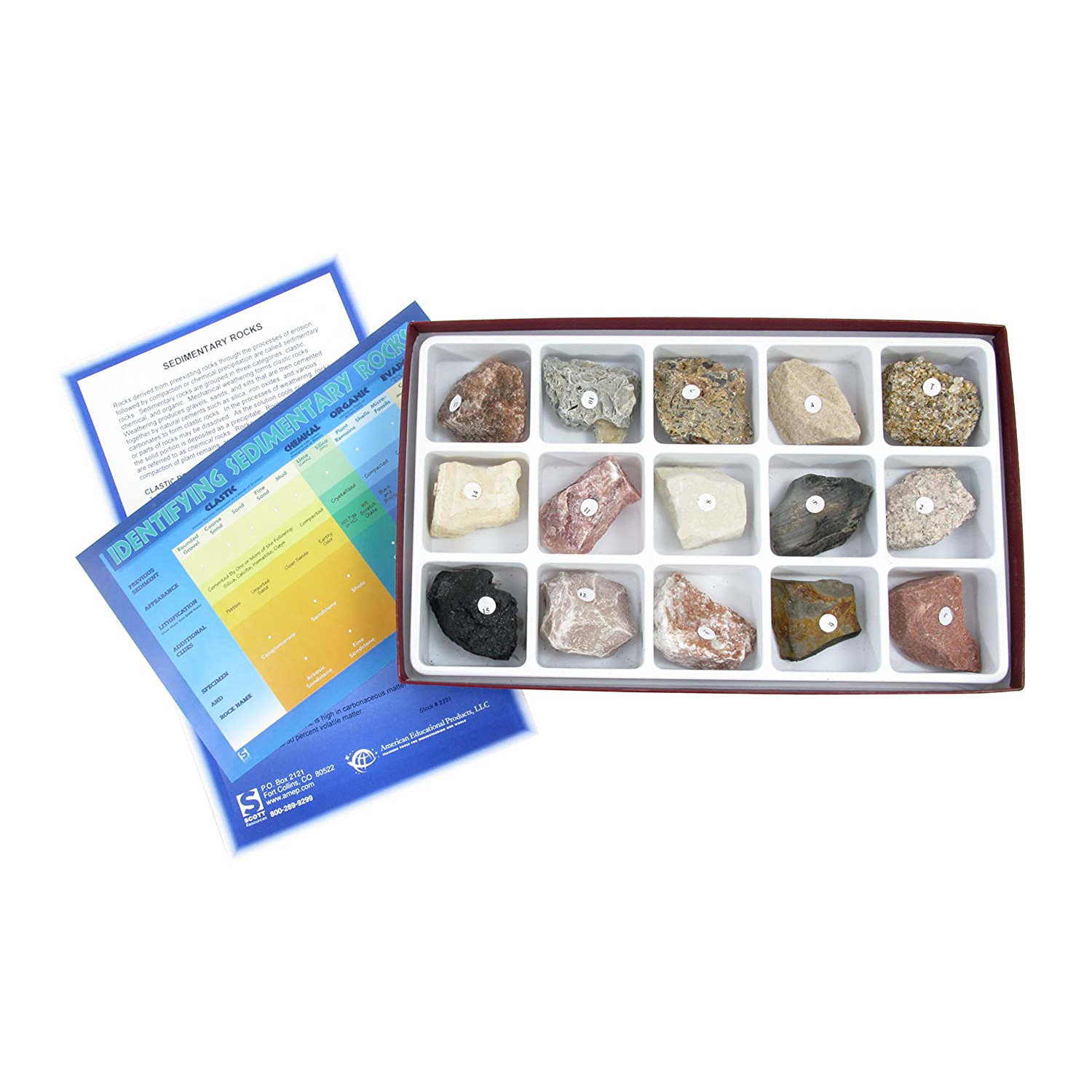 15 Piece Sedimentary Rock Collection – Vision International Medical ...