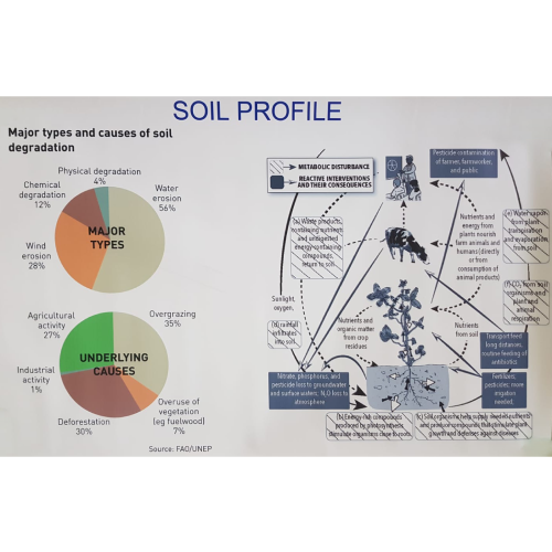 Soil Profile Poster – Vision International Medical & Scientific Supplies